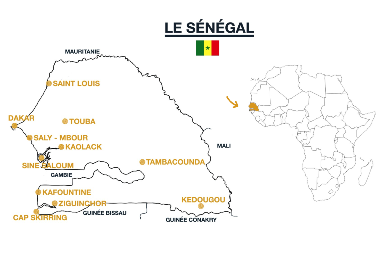 Road trip au Sénégal, guide complet pour découvrir le pays en ...